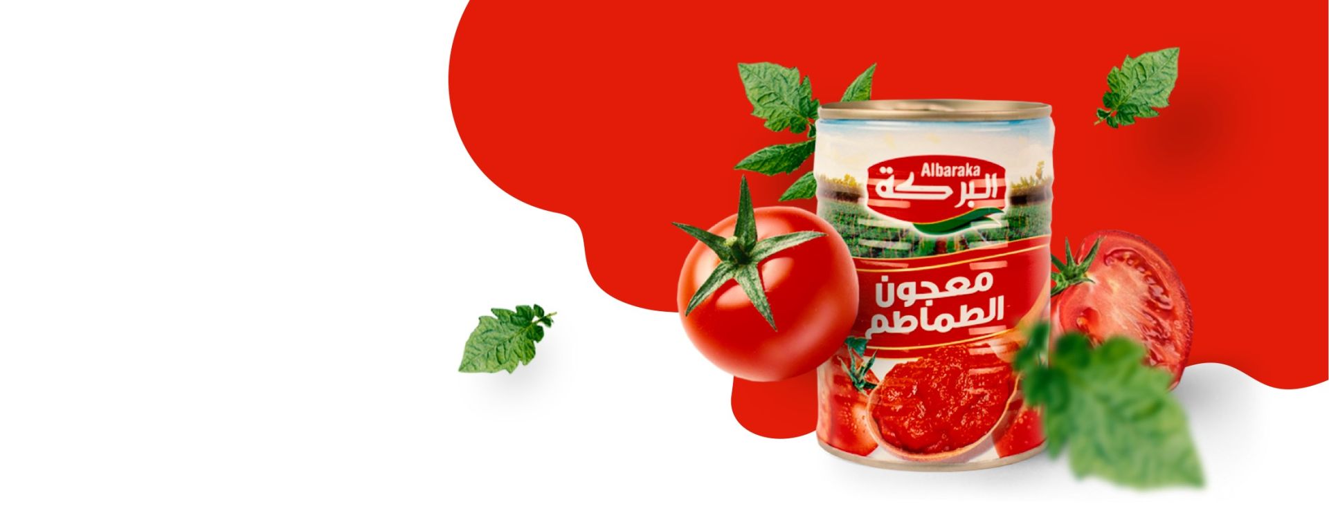 Food house – Importation and distribution